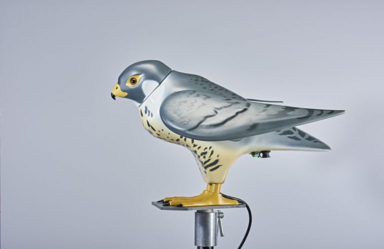 R:Falcon Bird Control | Products | Robop Ltd