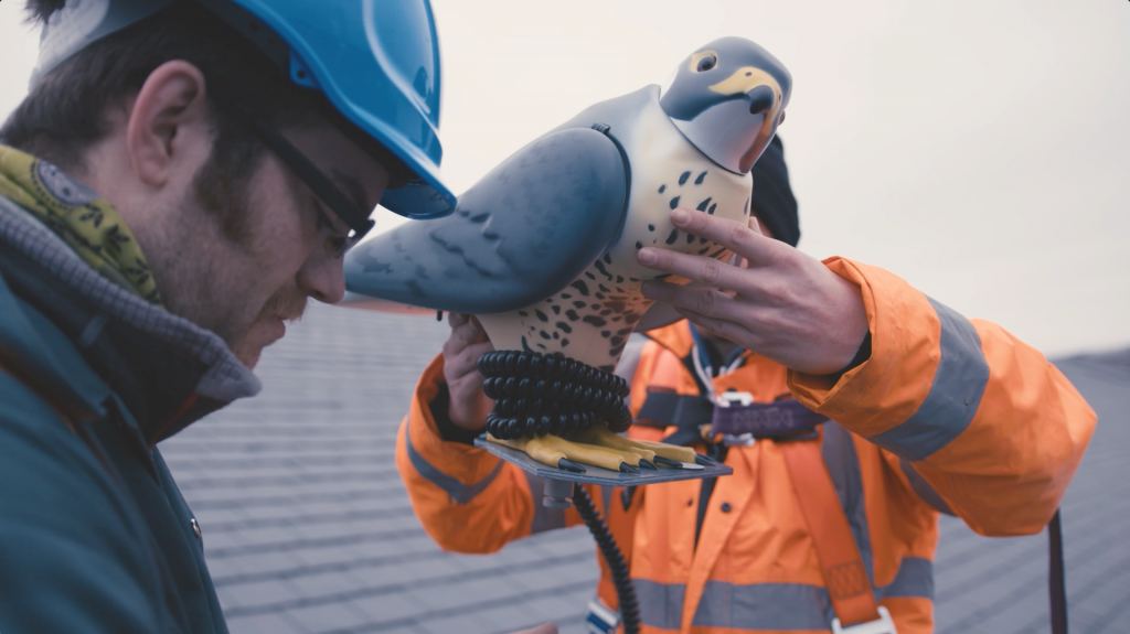 Our Story | Robop Ltd